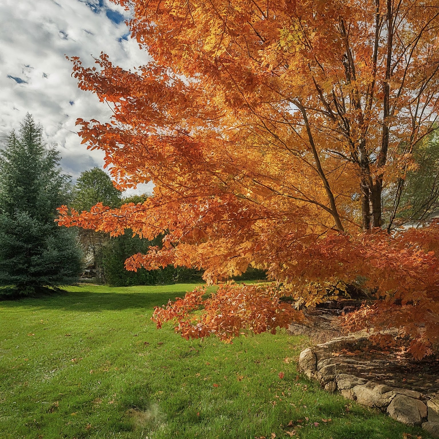 Prepare Your Landscape For Winter: 7 Essential Fall Tips - Perfection ...